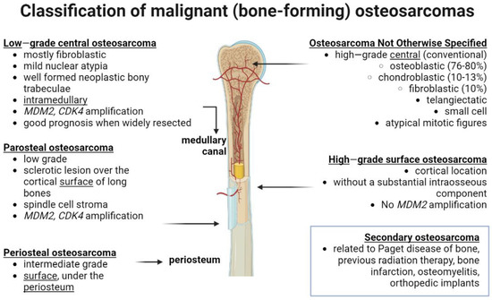 Self-Renewal and Pluripotency in Osteosarcoma Stem Cells ...