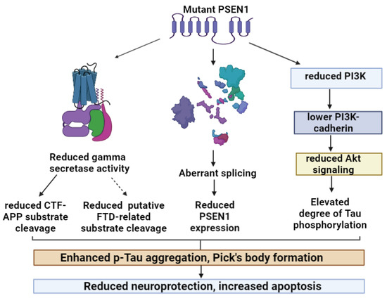 Presenilin-1 (PSEN1) Mutations: Clinical Phenotypes beyond Alzheimer’s ...