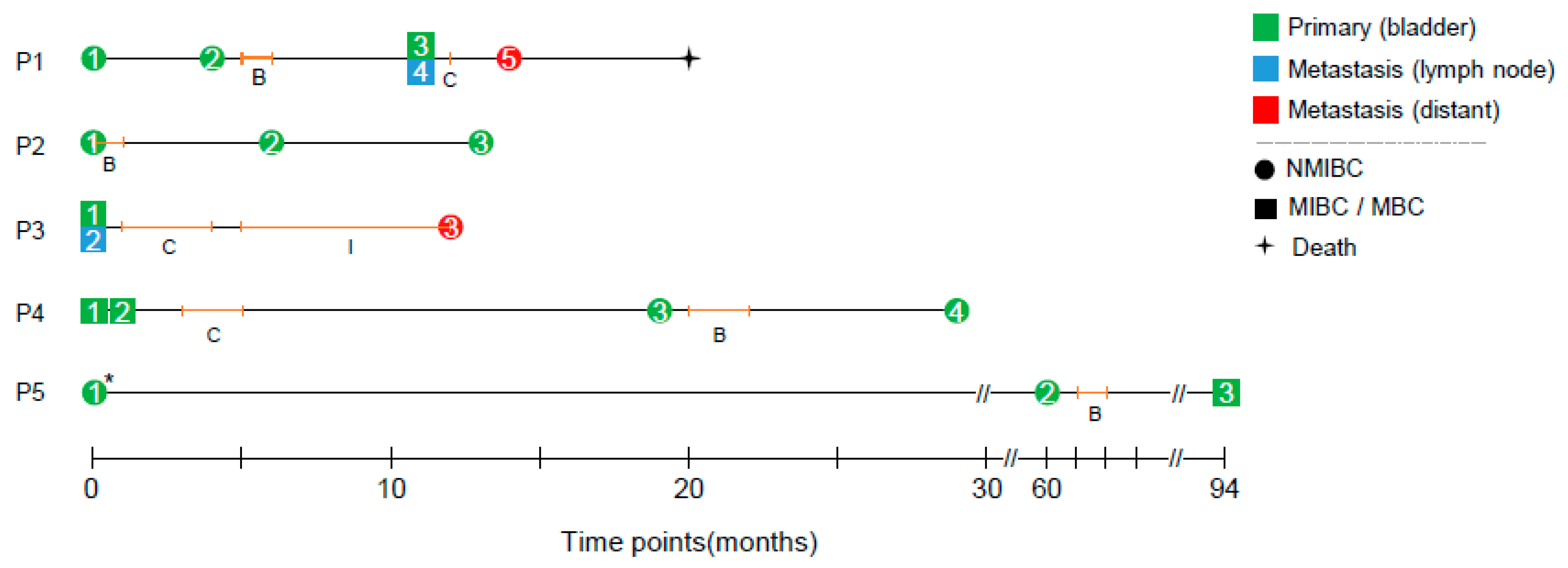 IJMS | Free Full-Text | Longitudinal Analyses of Mutational Subclonal ... IJMS | Free Full-Text | Longitudinal Analyses of Mutational Subclonal ...