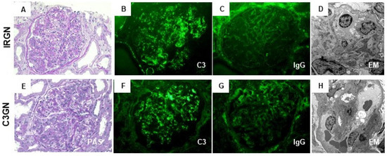 Clinico-Pathogenic Similarities and Differences between Infection ...