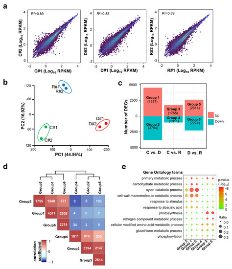 Comprehensive Analysis of Rice Seedling Transcriptome during ...