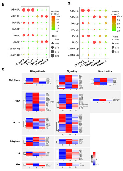 Comprehensive Analysis of Rice Seedling Transcriptome during ...