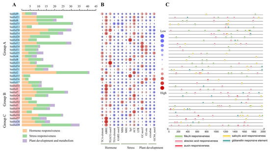 Genome-Wide Characterization and Expression of the Hsf Gene Family in ...