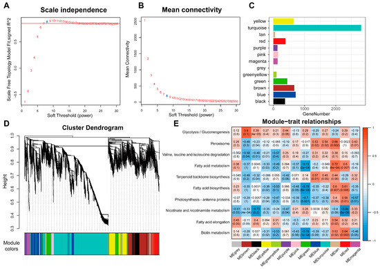 Trichome-Specific Analysis and Weighted Gene Co-Expression Correlation ...