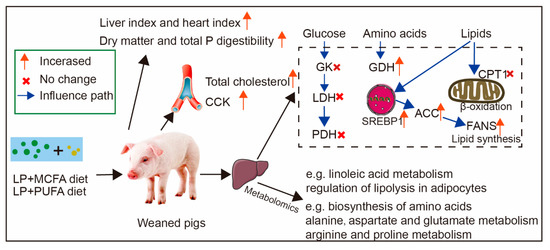 Different Fatty Acid Supplementation in Low-Protein Diets Regulate ...