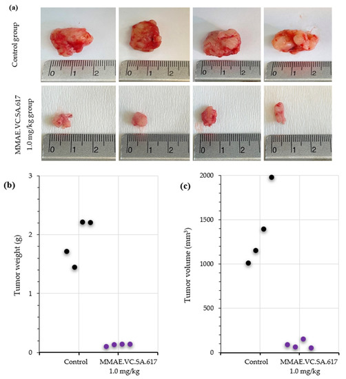 Old Drug, New Delivery Strategy: MMAE Repackaged