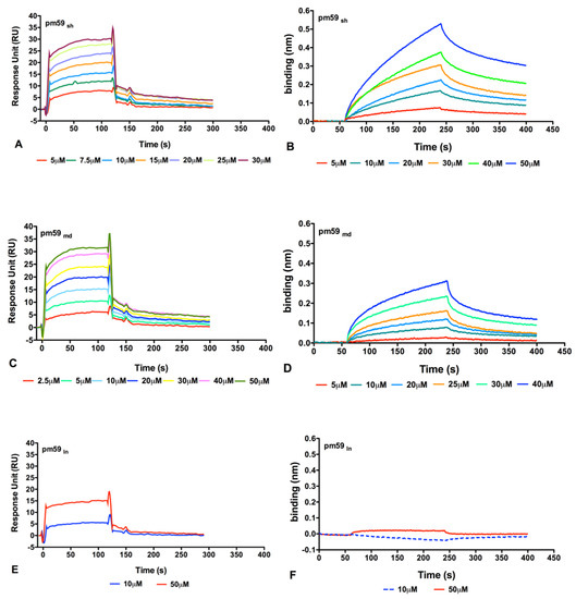 Unveiling CD59-Antibody Interactions to Design Paratope-Mimicking ...