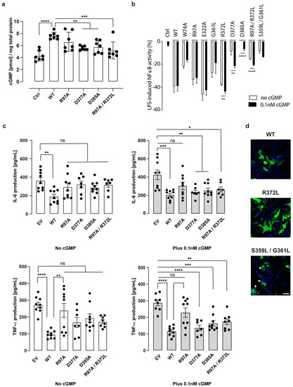 Mutations in the Vicinity of the IRAK3 Guanylate Cyclase Center Impact ...
