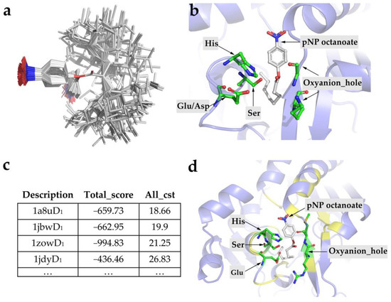 De Novo Computational Design of a Lipase with Hydrolysis Activity ...