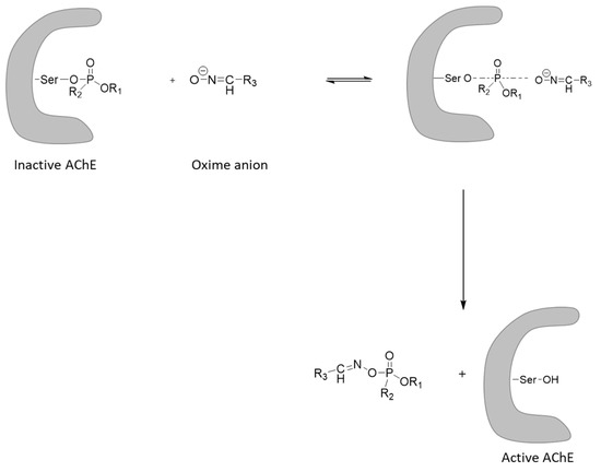Chemical, Physical, and Toxicological Properties of V-Agents