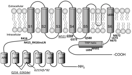 TRPV3 Ion Channel: From Gene to Pharmacology