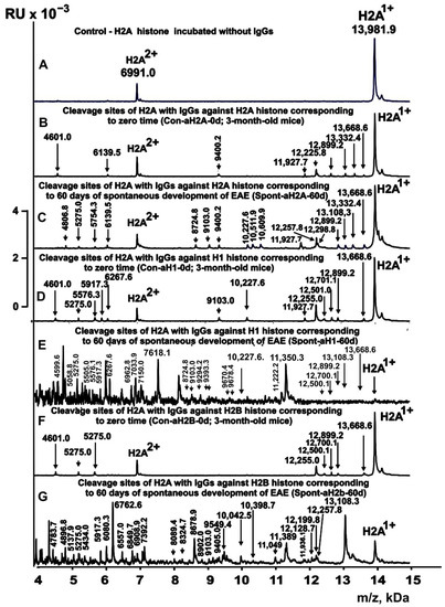 IJMS | Free Full-Text | EAE of Mice: Enzymatic Cross Site-Specific Hydrolysis of H2A Histone by ...