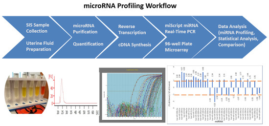 Identification of Endometrial Cancer-Specific microRNA Biomarkers in ...