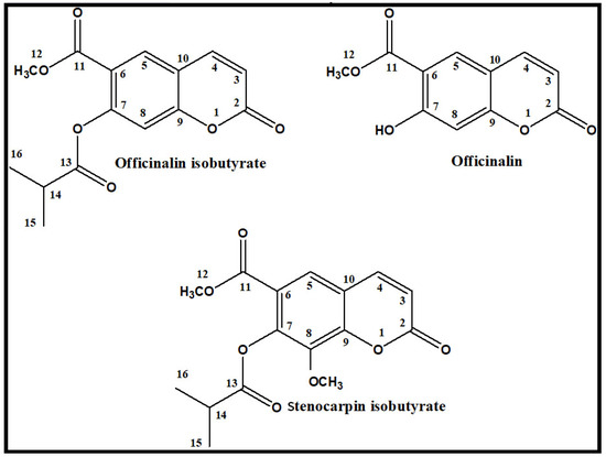 IJMS | Free Full-Text | Simple Coumarins from Peucedanum luxurians ...