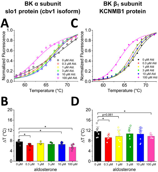 IJMS | Free Full-Text | Differential Functional Contribution of BK ...