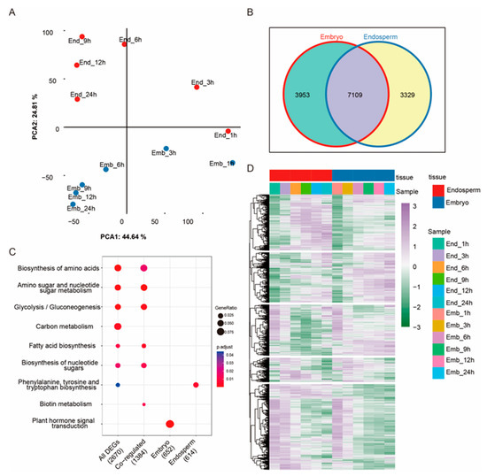 Transcriptome Analysis of Rice Embryo and Endosperm during Seed Germination