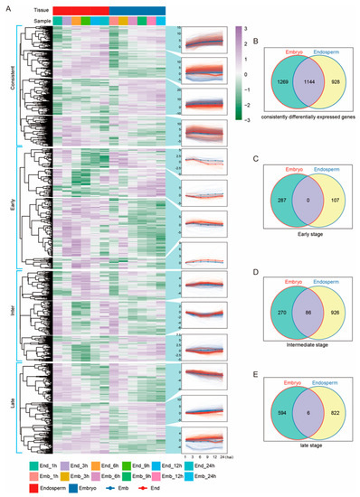 Transcriptome Analysis of Rice Embryo and Endosperm during Seed Germination