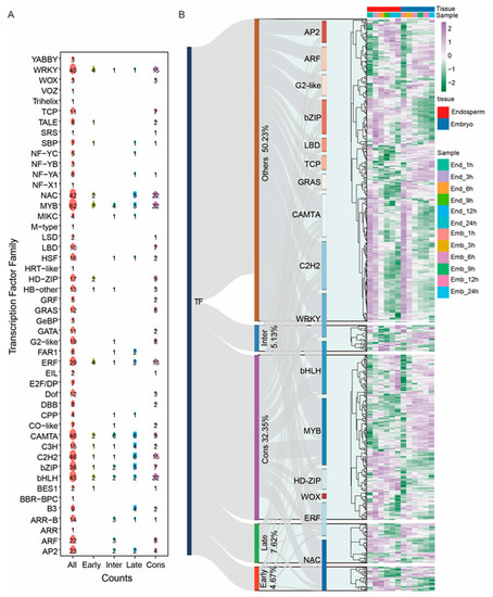 Transcriptome Analysis of Rice Embryo and Endosperm during Seed Germination