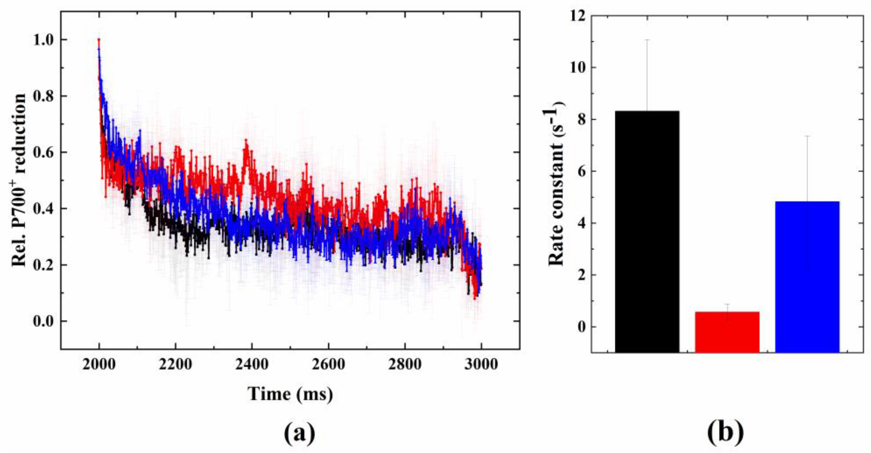 Characterization of the Flash-Induced Fluorescence Wave Phenomenon in the Coral Endosymbiont ...