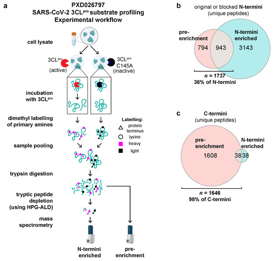 IJMS | Free Full-Text | No Substrate Left behind—Mining of Shotgun ...