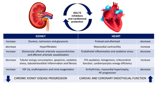 SGLT2 Inhibitors: A New Therapeutical Strategy to Improve Clinical ...