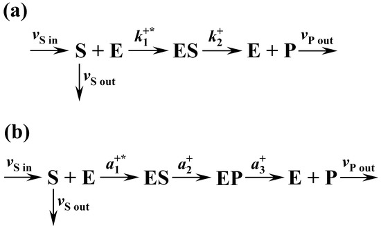 Self-Organization of Enzyme-Catalyzed Reactions Studied by the Maximum ...