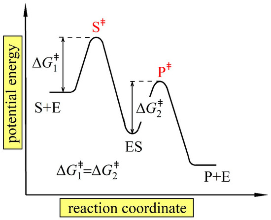 IJMS | Free Full-Text | Self-Organization of Enzyme-Catalyzed Reactions ...