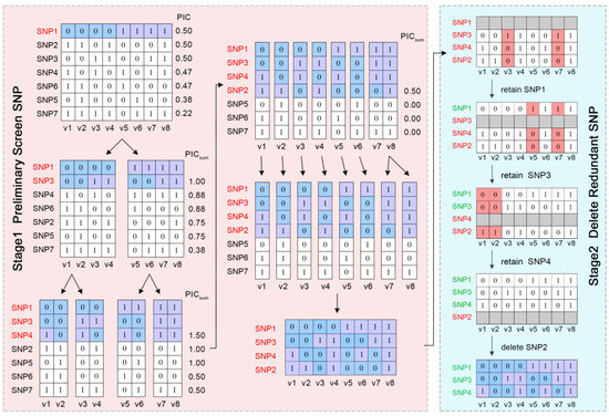 DT-PICS: An Efficient and Cost-Effective SNP Selection Method for the ...