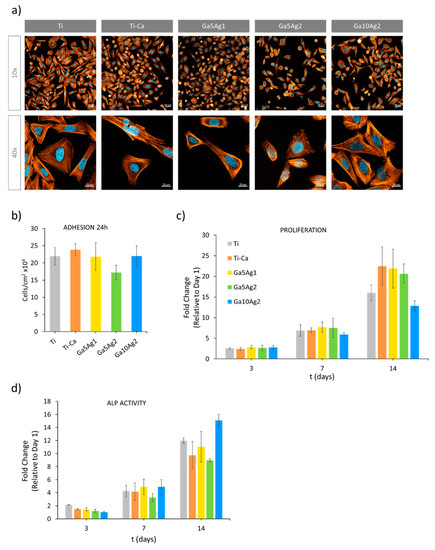 Dual-Action Effect of Gallium and Silver Providing Osseointegration and Antibacterial Properties ...