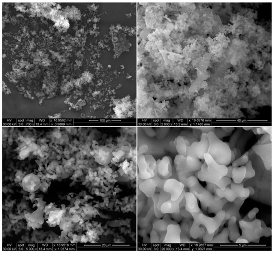 Innovative Rocuronium Bromide Topical Formulation for Targeted Skin ...