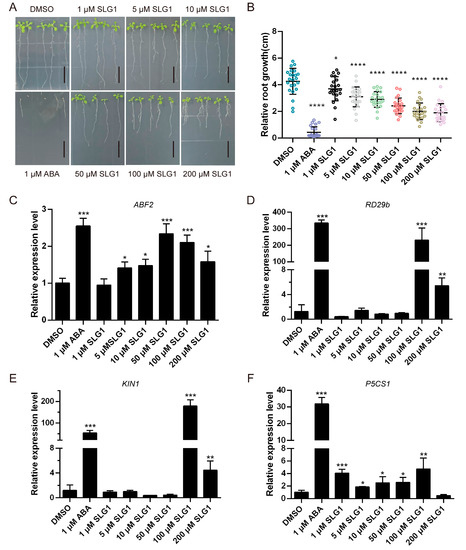 A Potential ABA Analog to Increase Drought Tolerance in Arabidopsis ...