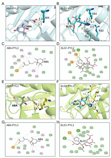 A Potential ABA Analog to Increase Drought Tolerance in Arabidopsis ...