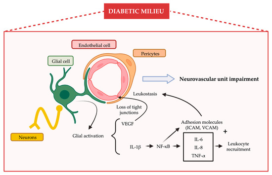 Inflammation: The Link between Neural and Vascular Impairment in the ...