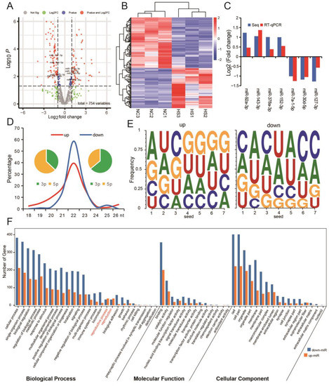 Potential Function of Testicular MicroRNAs in Heat-Stress-Induced ...