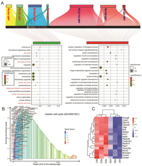 Potential Function of Testicular MicroRNAs in Heat-Stress-Induced ...