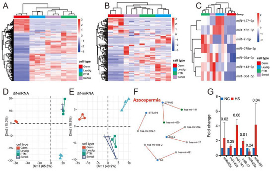 Potential Function of Testicular MicroRNAs in Heat-Stress-Induced ...