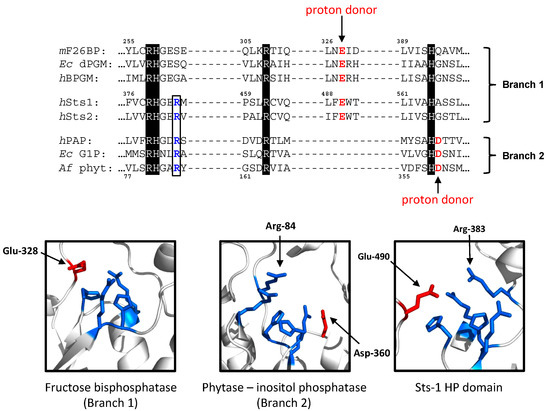 The Sts Proteins: Modulators of Host Immunity