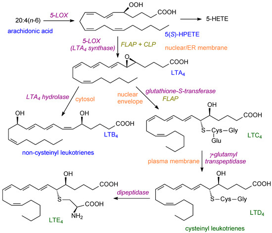 Polyunsaturated Fatty Acids: Conversion to Lipid Mediators, Roles in ...