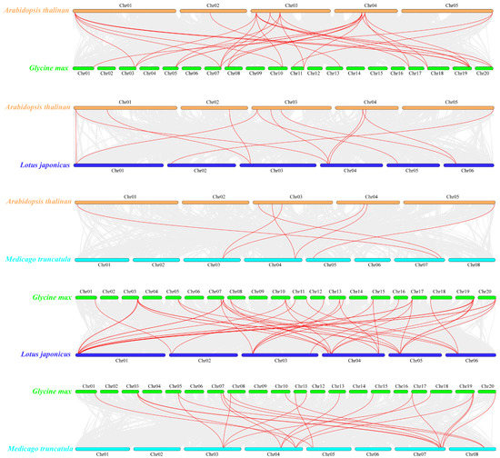 Genome-Wide Identification and Comparative Analysis of RALF Gene Family ...