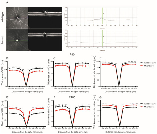 RNA-Seq Analysis Reveals an Essential Role of the cGMP-PKG-MAPK ...