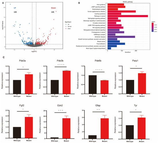 RNA-Seq Analysis Reveals an Essential Role of the cGMP-PKG-MAPK ...