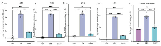 IJMS | Free Full-Text | Modelling Microglial Innate Immune Memory In Vitro: Understanding the ...