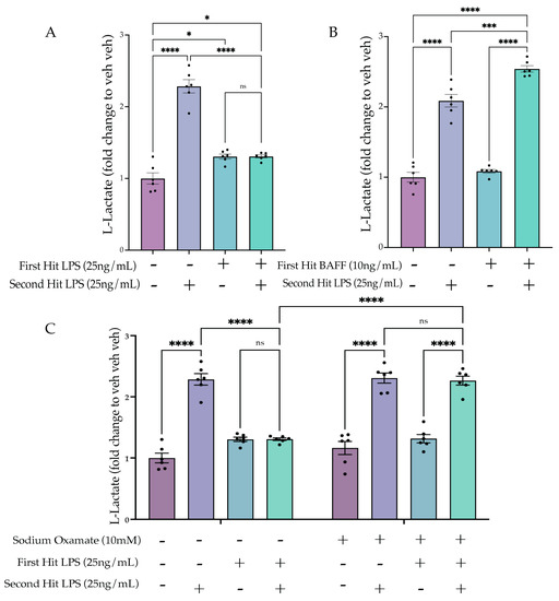 IJMS | Free Full-Text | Modelling Microglial Innate Immune Memory In Vitro: Understanding the ...