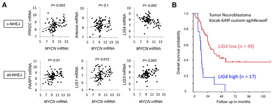 DNA Ligase 4 Contributes to Cell Proliferation against DNA-PK ...