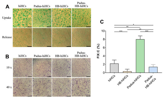 CRISPR-Mediated In Situ Introduction or Integration of F9-Padua in ...