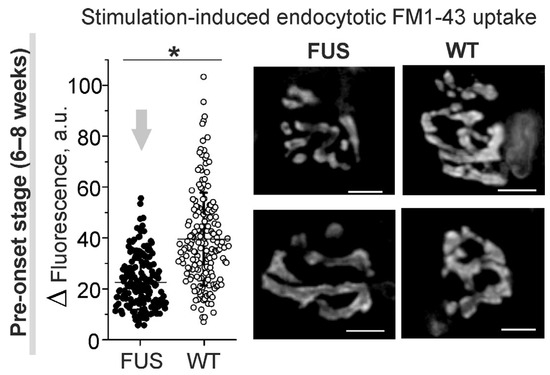 Early Alterations in Structural and Functional Properties in the ...