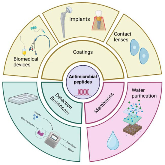IJMS | Free Full-Text | Antimicrobial Peptides: Challenging Journey to the Pharmaceutical ...