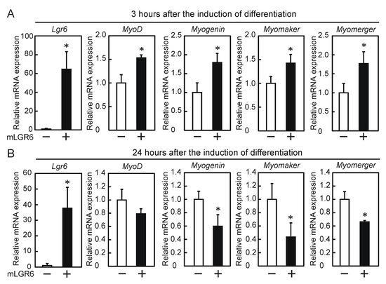 All-Trans Retinoic Acid-Responsive LGR6 Is Transiently Expressed during ...