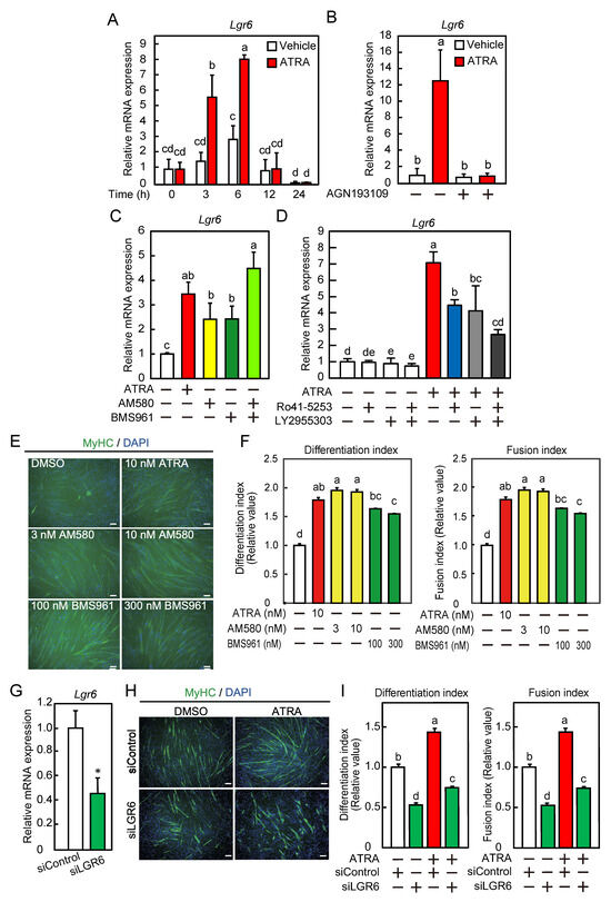All-Trans Retinoic Acid-Responsive LGR6 Is Transiently Expressed during ...