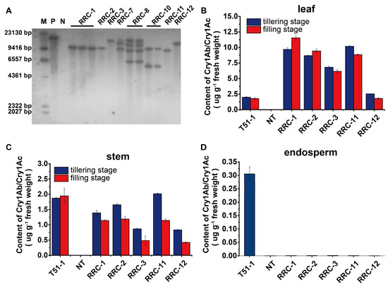 Achieving High Expression of Cry in Green Tissues and Negligible ...